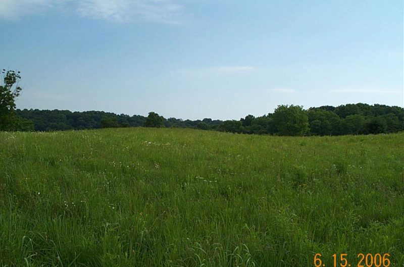 Shortgrass Prairie - Native Connections