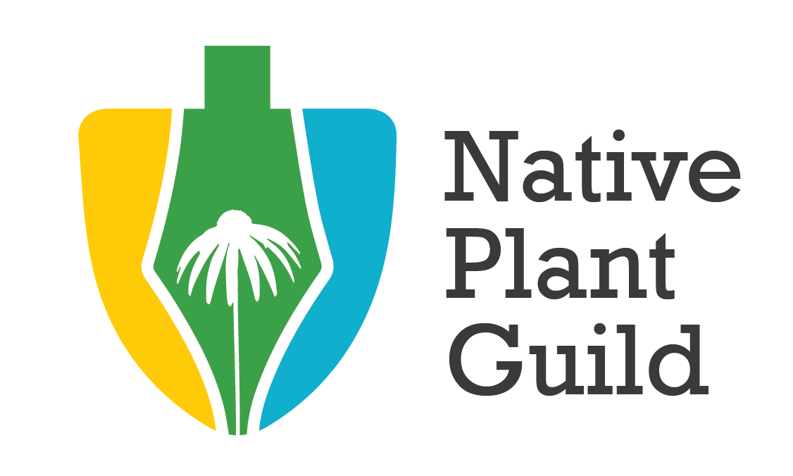 Native Connections | Native Grass & Wildflower Seed